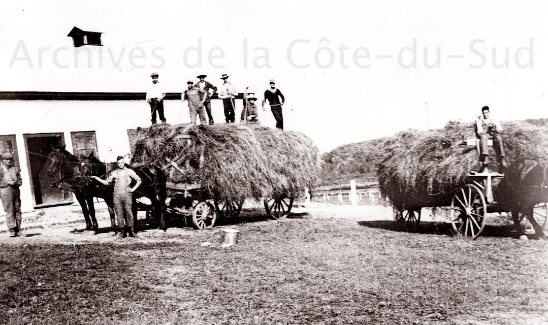 Les foins dans les années 1920 par les employés de l'École d"agriculture